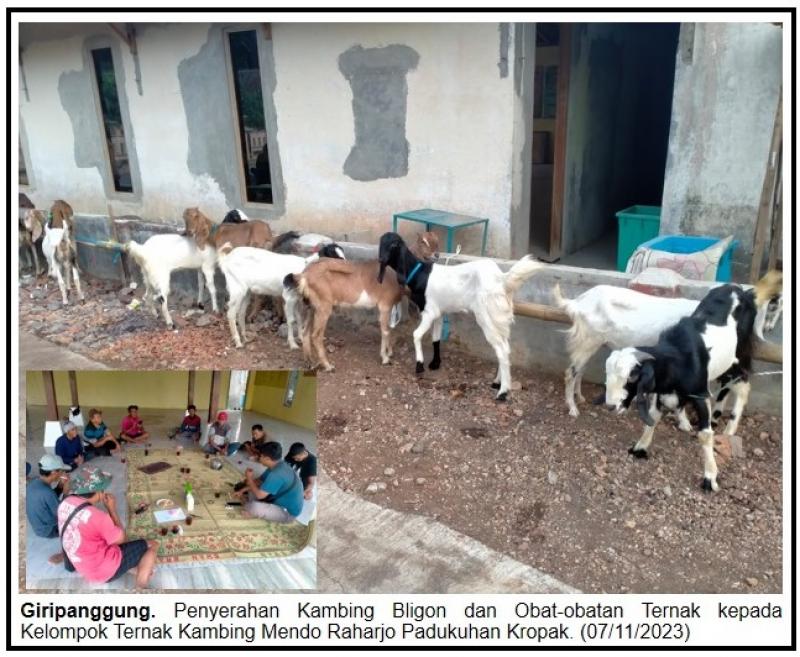 Penyerahan Kambing Bligon dan Obat-obatan Ternak kepada Kelompok